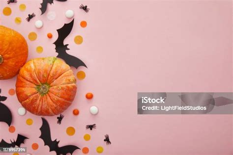 분홍색 배경에 색종이와 호박 박쥐와 거미의 상단보기 할로윈 장식 0명에 대한 스톡 사진 및 기타 이미지 0명 거미 바로 위 Istock