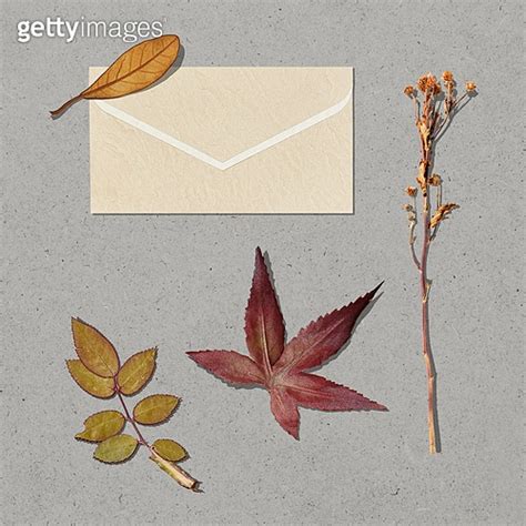 그래픽이미지 Computer Graphics 합성 Computer Graphics 디자인엘리먼트 이미지 오브젝트 묘사 가을 계절 상업이벤트 사건