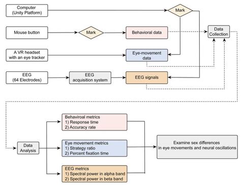 Medicine In Novel Technology And Devices On Linkedin Sex Differences