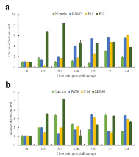 Gene Expression Of The Shell Matrix Proteins In The Mantle Edge A And Download Scientific
