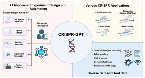 Protein Language Models Search Terms