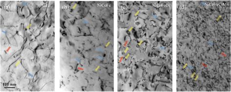 Dislocation Loops In Scanning Transmission Electron Microscopy Bright