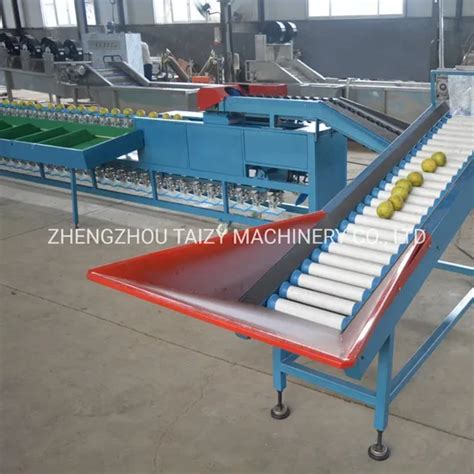 Automatic Sorting Machine Shrimp Olive Grading Machine Shrimp Sort