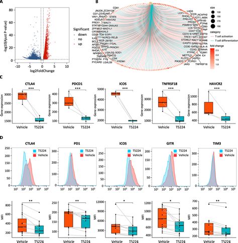 Ap 1 Is Required For Treg Cells Activation In Vitro A Differential