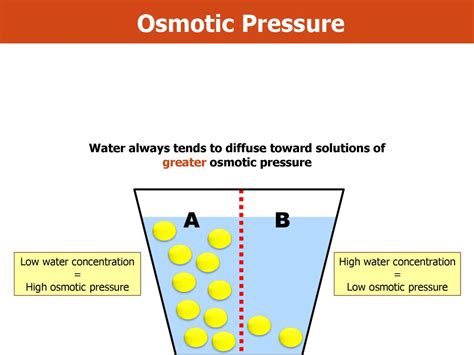 What Is Osmotic Pressure Of Water At Amanda Litherland Blog