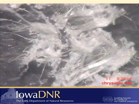 Ppt Asbestos Neshap Powerpoint Presentation Free Download Id 5330488