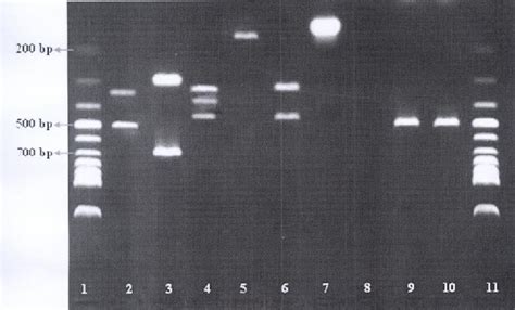 Table 1 From Enterotoxin Gene Profiles Of Staphylococcus Aureus And