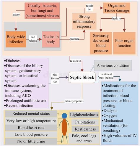 Septic Shock Pathophysiology Flowchart