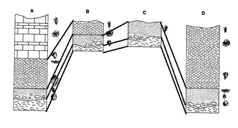 [solved] 3 Complete A Lithologic Correlation Using Black Pencil Of