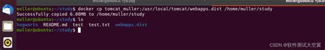 Docker Cp命令详解：在docker容器和主机之间复制文件文件夹霍格沃兹测试开发学社infoq写作社区
