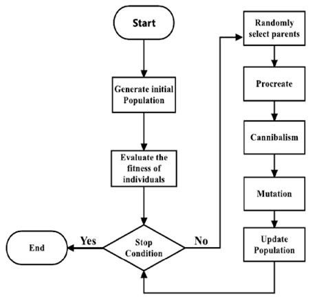 flowchart of the black widow optimization algorithm [1] download scientific diagram
