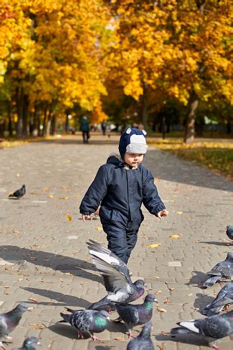 바지와 재미있는 모자를 쓴 어린 소년이 가을에 공원에서 비둘기에게 먹이를 주죠 가을에 대한 스톡 사진 및 기타 이미지 가을 가을 단풍 개발 Istock