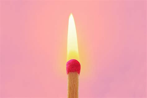 Crafting Excellence The Daily Routines Of Top Creatives IF Magazine