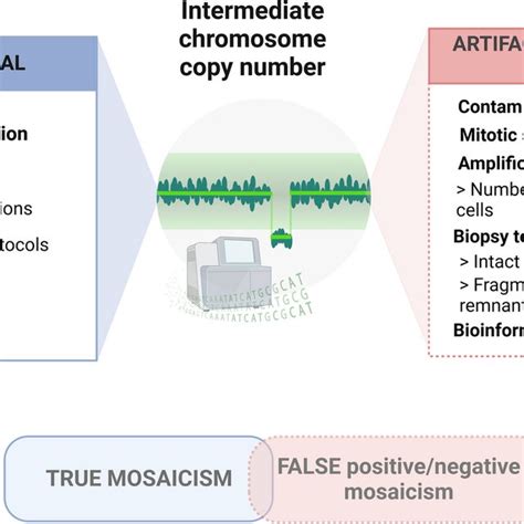 True Chromosomal And Technical Artifacts Leading To Ngs Intermediate