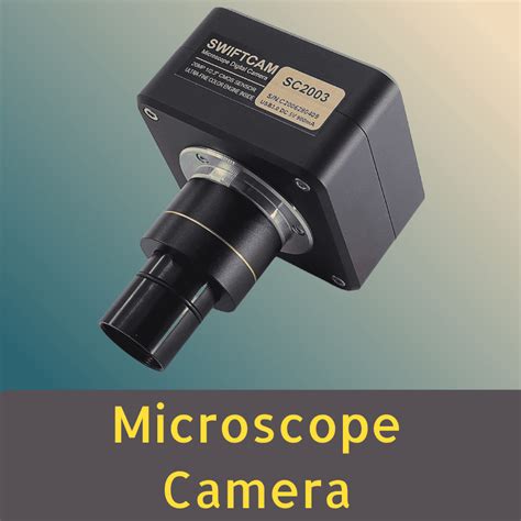 Capture Microscopic Details With High Quality Microscope Cameras