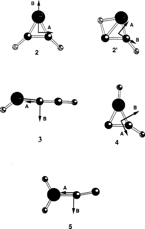 Schematic Representation Of The Rotational Axes Of Important Reaction Download Scientific