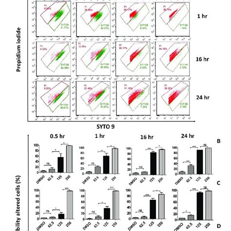 Bacterial Viability Is Visualized In The Fluorescence Microscopy For Download Scientific