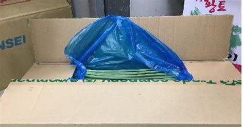 식약처 잔류농약 기준초과 검출 수입 마늘쫑 회수 조치