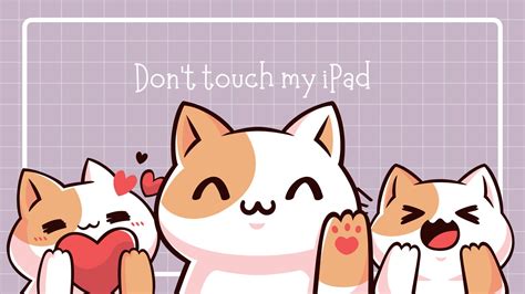 Cat Ipad Wallpapers 4k Hd Cat Ipad Backgrounds On Wallpaperbat