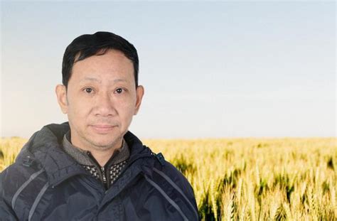 如何快速識別水稻田中的雜草幼苗 每日頭條