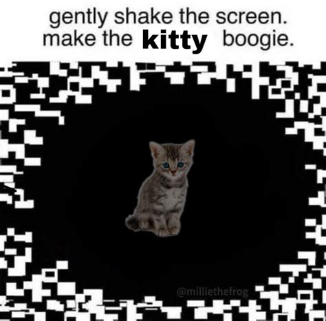 Hate Cats Silly Cats Big Cats Funny Cats Lets Go Crazy Crazy Crazy