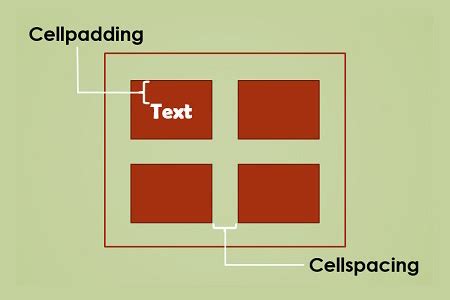 Cellpadding和Cellspacing之间的区别 html教程 PHP中文网