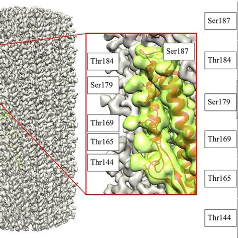 A Gold Standard Fourier Shell Correlation Fsc Curves Calculated