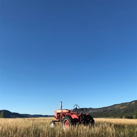Soaking Rain In The Mancos Valley Grasshopper Collective