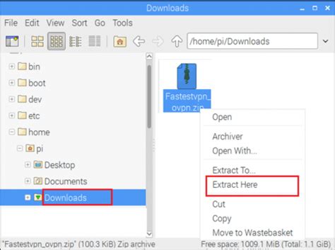 How To Setup Openvpn On Raspberry Pi Linux Fastestvpn Support