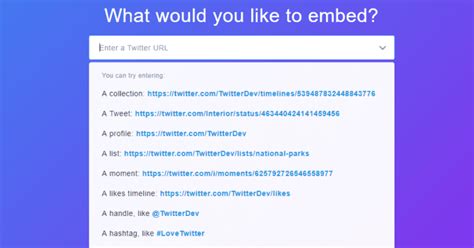 How To Display All Your Subscriber Counts On WordPress
