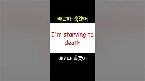 배고파 죽겠어영어로 왕기초영어 Youtube
