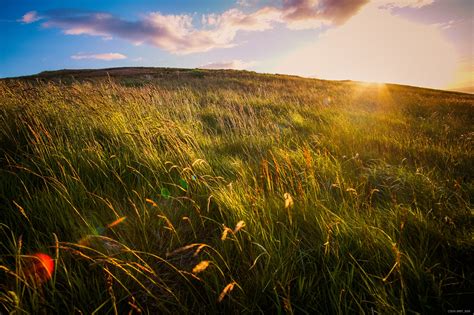 Llm 训练与推理过程中的 Gpu 算力评估llm 算力估算 Csdn博客