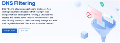 8 Best Dns Filtering Software In 2025 Geekflare Uk