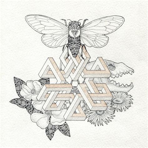 The Impossible Cicada By Ingevandormael On Deviantart