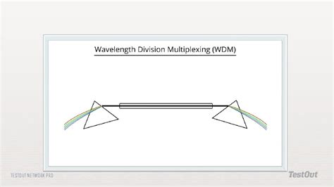 Cables And Connectors Testout Network Pro Select And