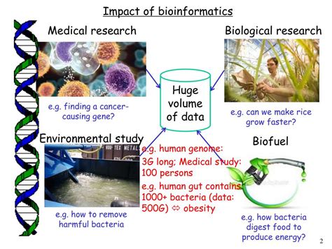 Ppt Hku Cs Bioinformatics Research Powerpoint Presentation Free Download Id3608264