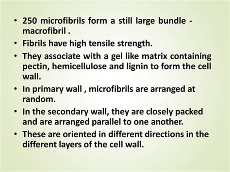Eukaryotic Cell Wall Pptx Biological Sciences Science