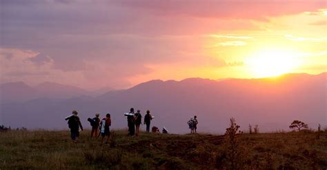 სსიპ სოფიკო ჭიაურელის სახელობის ქალაქ თბილისის N54 საჯარო სკოლა Added A სსიპ სოფიკო