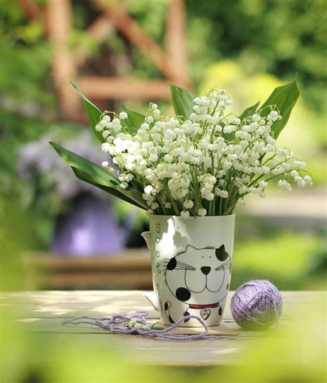 Пин от пользователя Нежность на доске цветы в вазах Цветочные композиции Цветы Красивые цветы