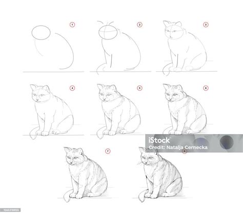 페이지는 앉아있는 고양이의 스케치를 그리는 법을 배우는 방법을 보여줍니다 단계별 연필 그리기 만들기 아티스트를 위한 교육