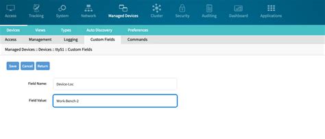 adding custom field for access view