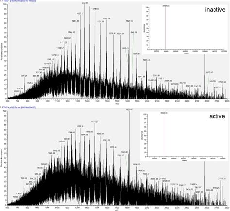 Mass Spectrometric Characterization Of Intact Proteins Intact Protein