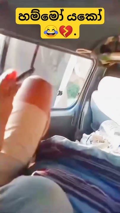 අලියා යකෝ 😂💔 අරුන් බය උනා හැබැයි 🥺😂💔 Trendingshorts Shortvideo Funny Fypシ゚viral Youtube