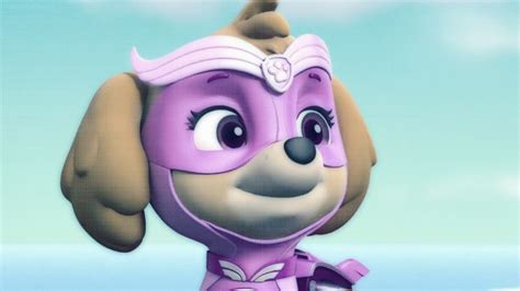 Skye Skye And Chase Paw Patrol Fan Art Fanpop