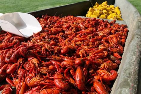 Why Do You Purge Crawfish At Mary Bevis Blog