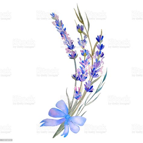라벤더 꽃과 가지 꽃다발 수채화 그림 프로방스 식물은 고립 된 배경에 손으로 그려졌습니다 엽서와 디자인을위한 보라색 줄기의 구성 웨딩 플로라 요소 건강관리와 의술에 대한