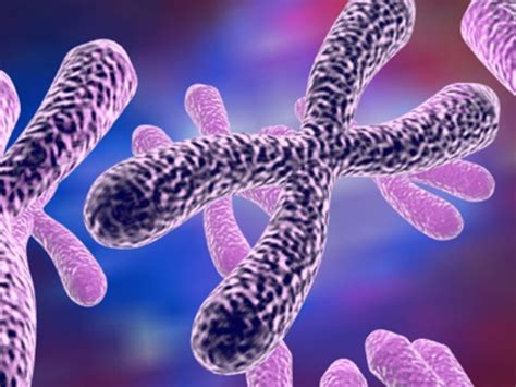 Has Ai Found A Treatment For Fragile X Wirefan Your Source For Social News And Networking