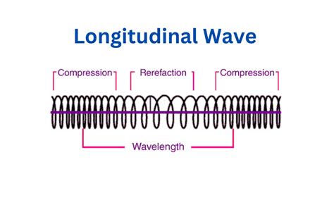 Longitudinal Waves Definition Characteristics Speed And Formula