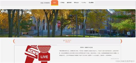 Javaphpnodejspython校园二手商城系统【2024年毕设】 Csdn博客
