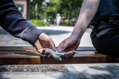 대마 중독 늘어나는데 재배지 관리 안되고 있다